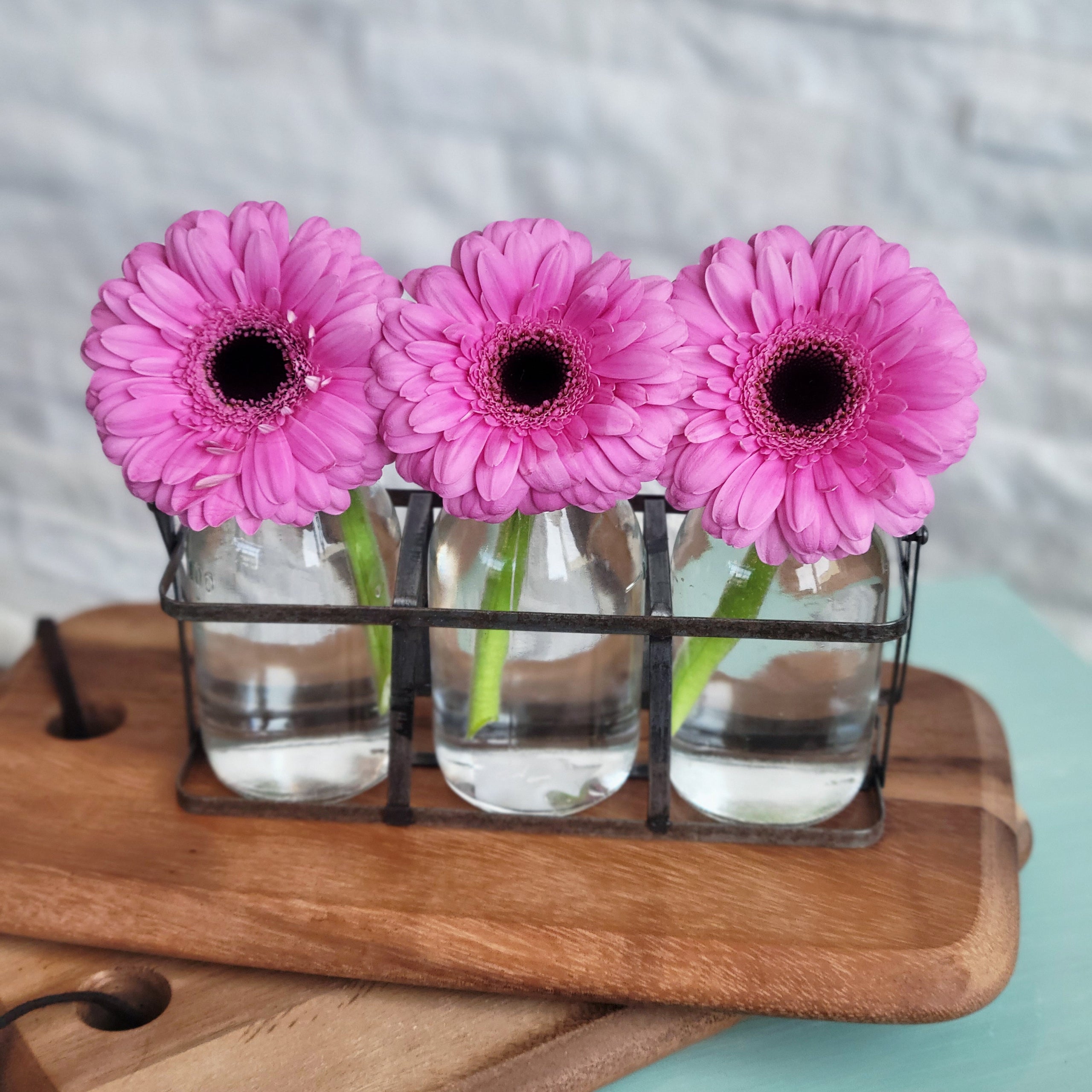 Gerb Trio - gerb colors will vary | Bloom Stones Floral and Gifts